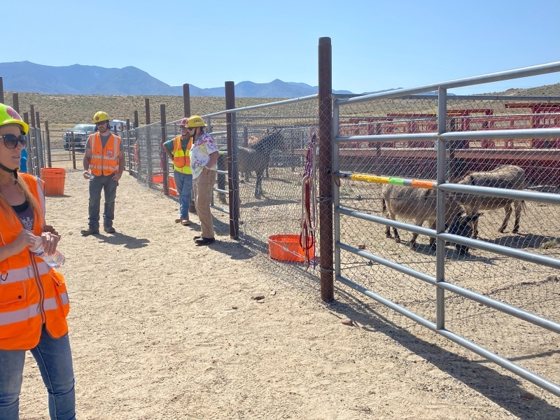 LRTC Large Animal Emergency Response Team Evac & Sheltering Forms